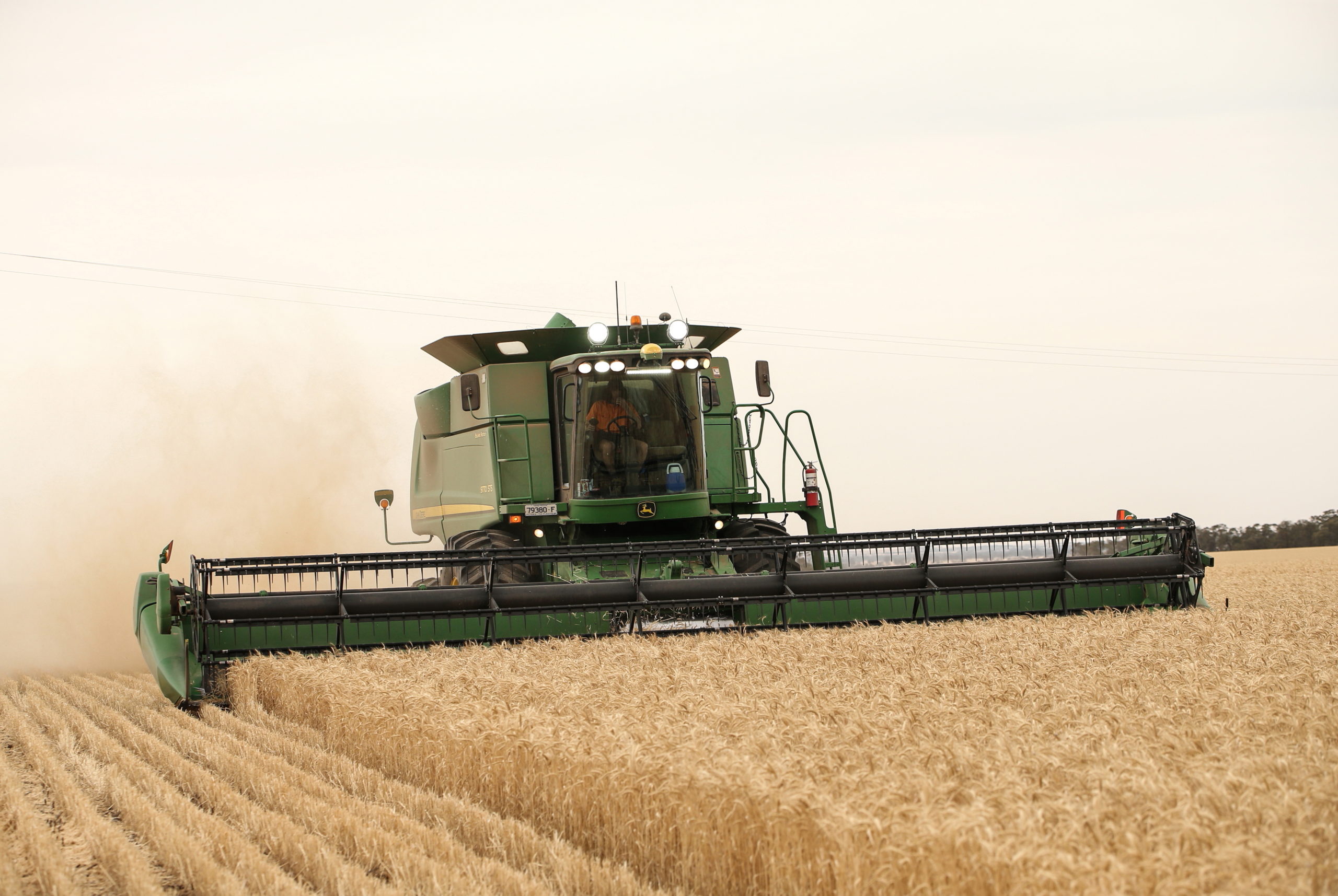 Storing your own grain? Here's what you should look out for - Grains ...